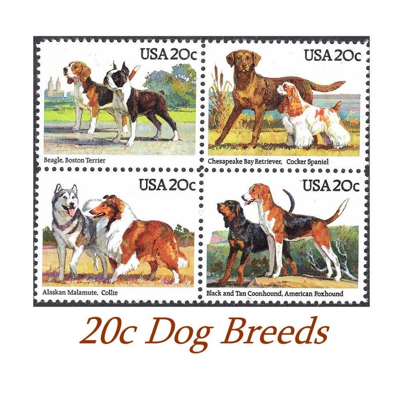 TWENTY 20c American Dog Breeds 8 Different Dogs Featured - Etsy