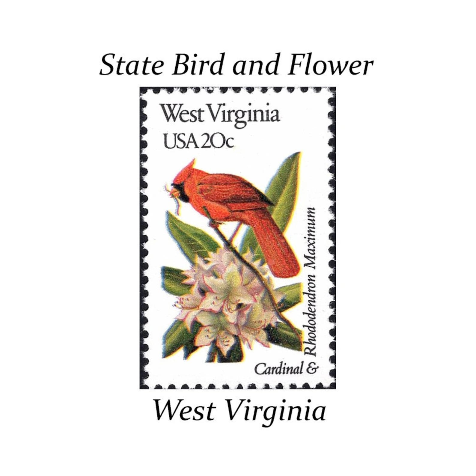 Five 20c WEST VIRGINIA State Bird and Flower Stamps Vintage | Etsy