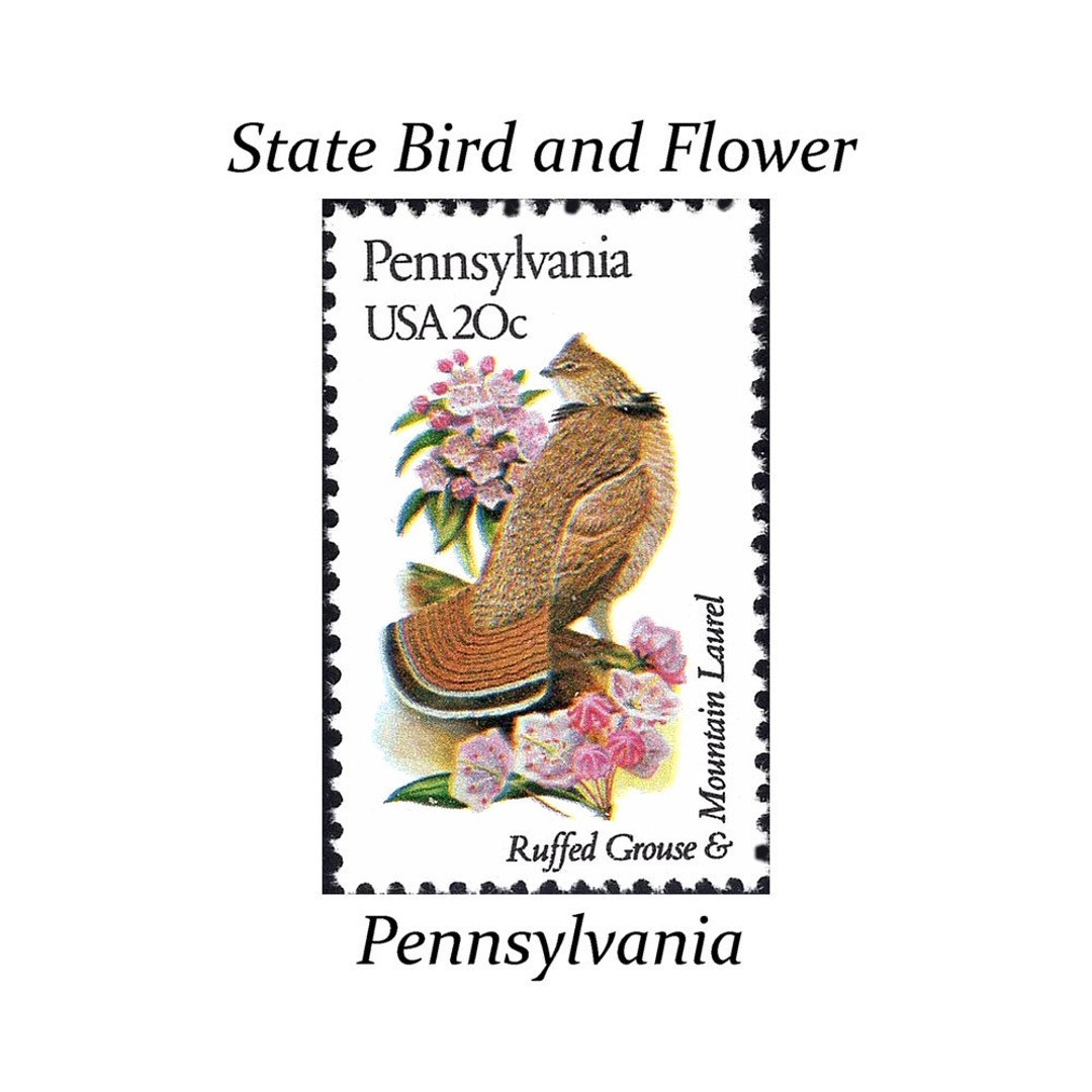 Five 20c PENNSYLVANIA State Bird and Flower Stamps | Vintage Unused US ...