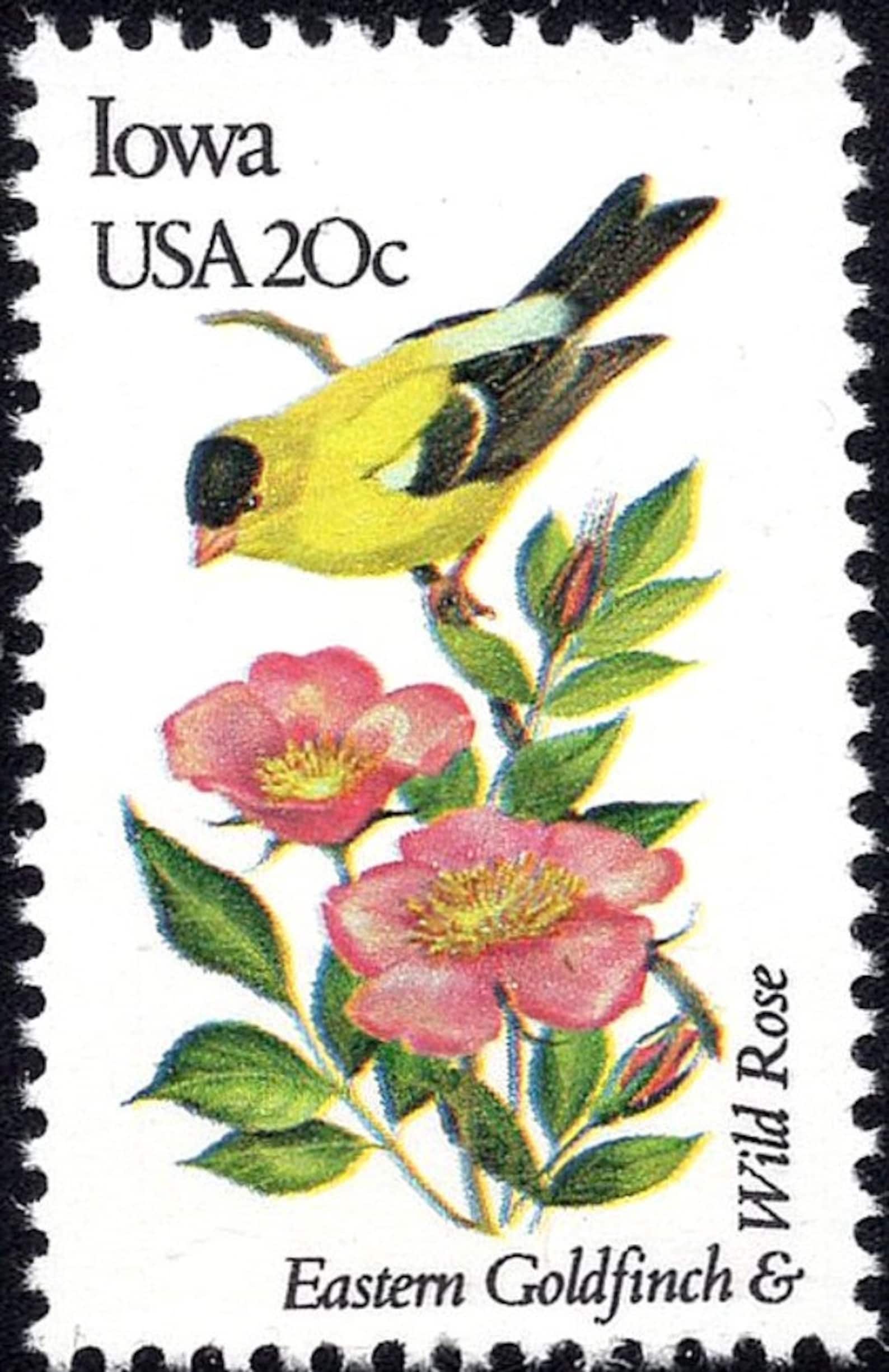 Five 20c IOWA State Bird and Flower Stamps Vintage Unused US | Etsy