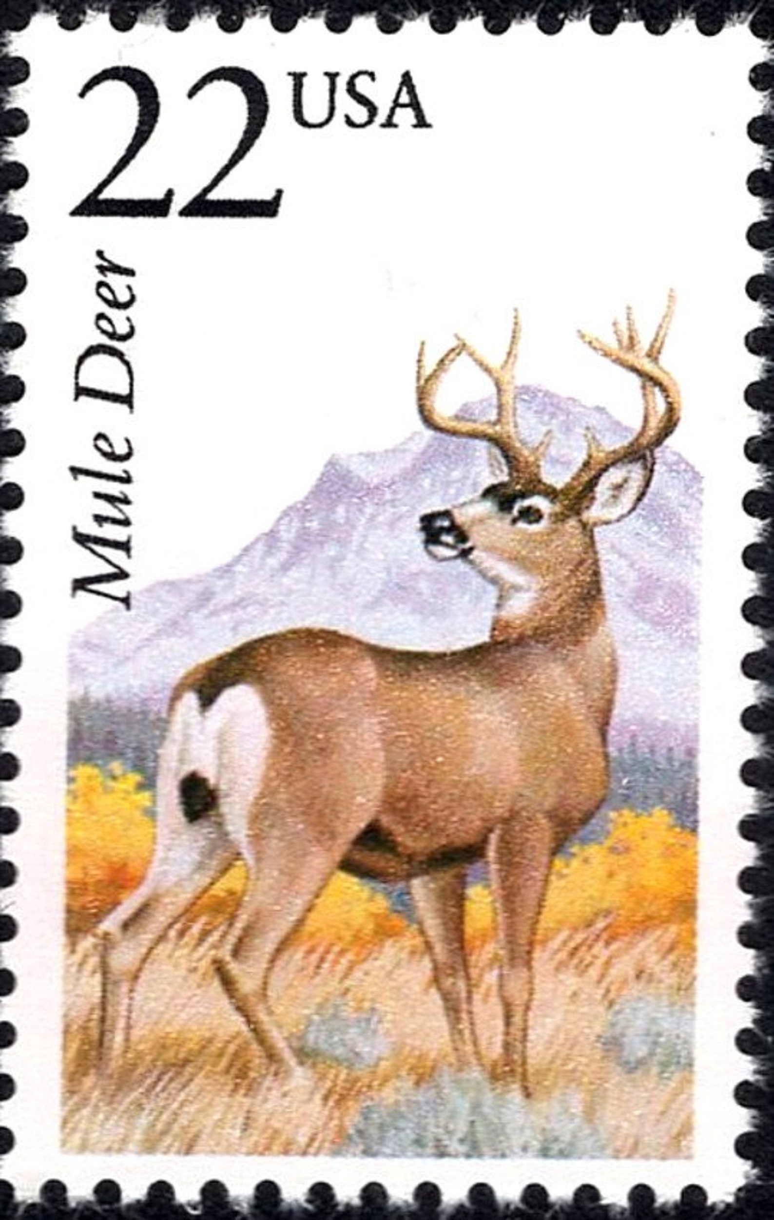 Five 22c Mule Deer Stamp Unused US Postage Stamps Pack of - Etsy