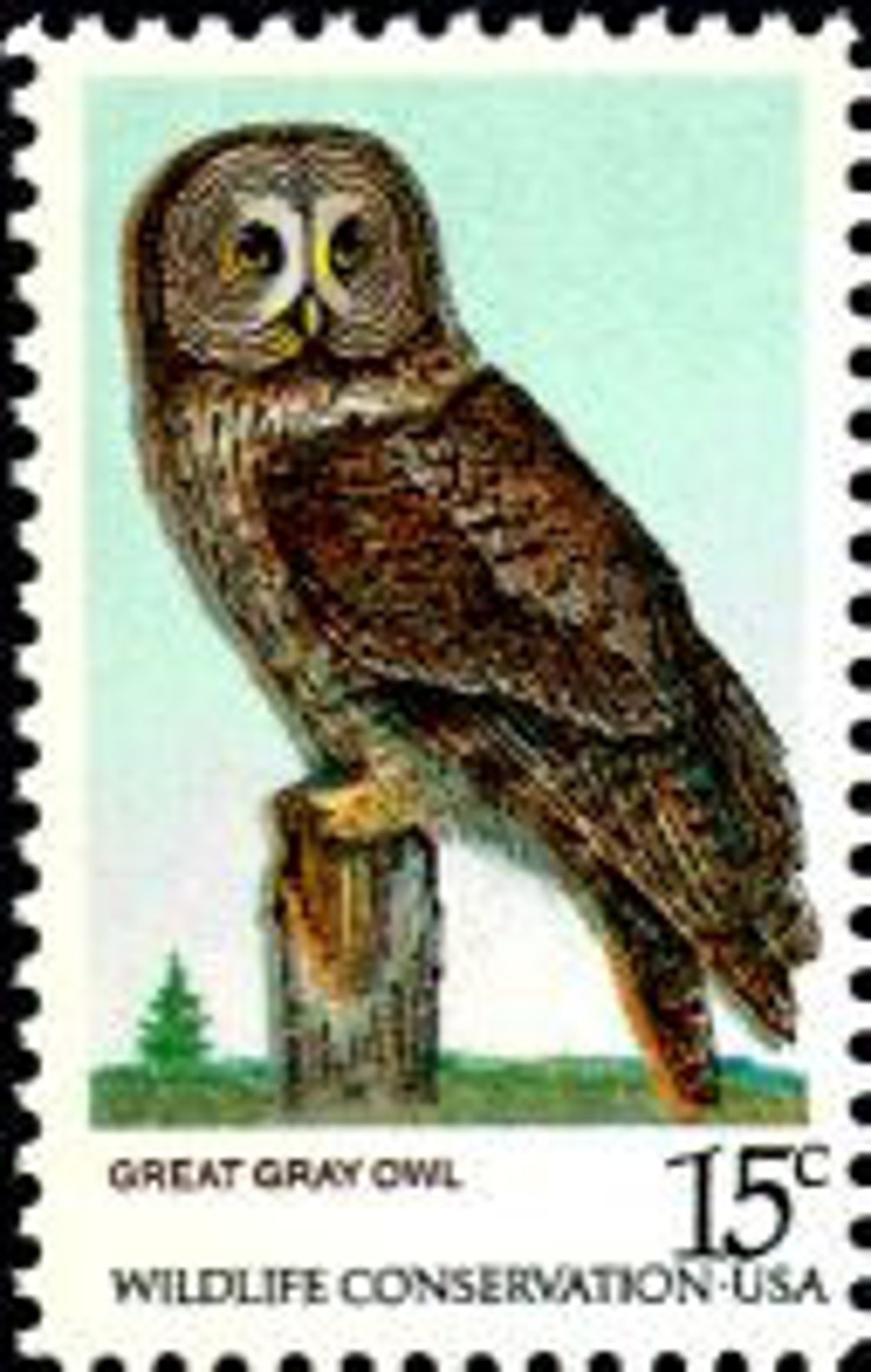 Twenty 15c American Owls Stamps 4 Different Owls Featured - Etsy
