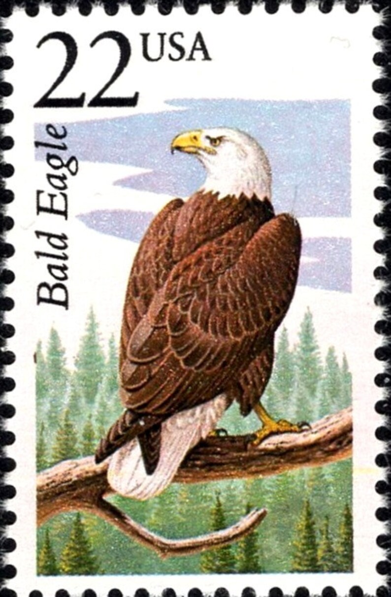 Five 22c Bald Eagle Stamp Unused US Postage Stamps Pack of | Etsy Five 22c Bald Eagle Stamp Unused US Postage Stamps Pack of | Etsy