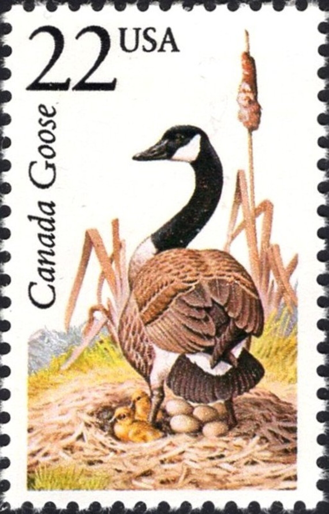 Five 22c Canada Goose Stamp Unused US Postage Stamps Pack | Etsy