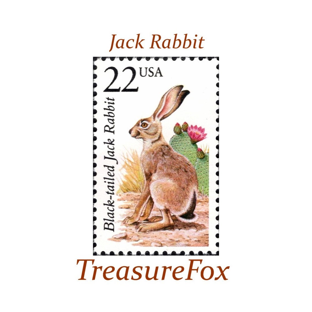Five 22c Jack Rabbit Stamp | Unused US Postage Stamps | Pack of 5 ...