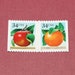 Apples and Oranges .. Unused Vintage Postage Stamps .. to Mail 10 ...