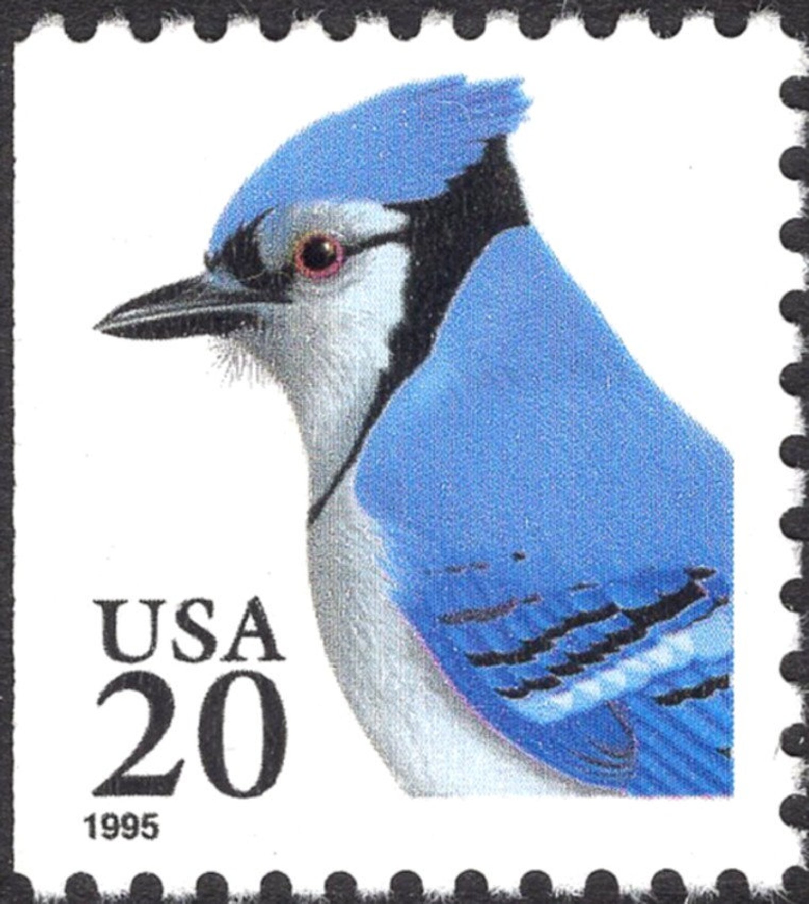 TEN 20c Blue Jay Stamp | Pack of 10 Vintage Unused Postage Stamps ...