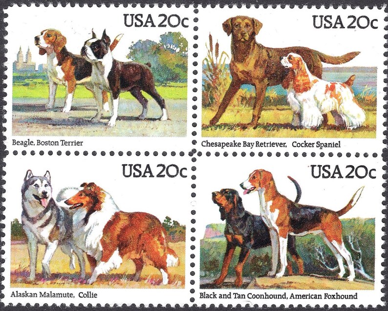 TWENTY 20c American Dog Breeds 8 Different Dogs Featured - Etsy