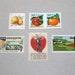 Apples and Oranges .. Unused Vintage Postage Stamps .. to Mail 10 ...
