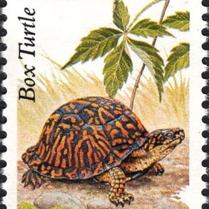 Five 22c Box Turtle Stamp | Unused US Postage Stamps | Pack of 5 Stamps ...