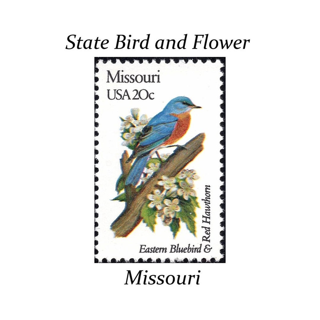 Five 20c MISSOURI State Bird and Flower Stamp | Vintage Unused US ...