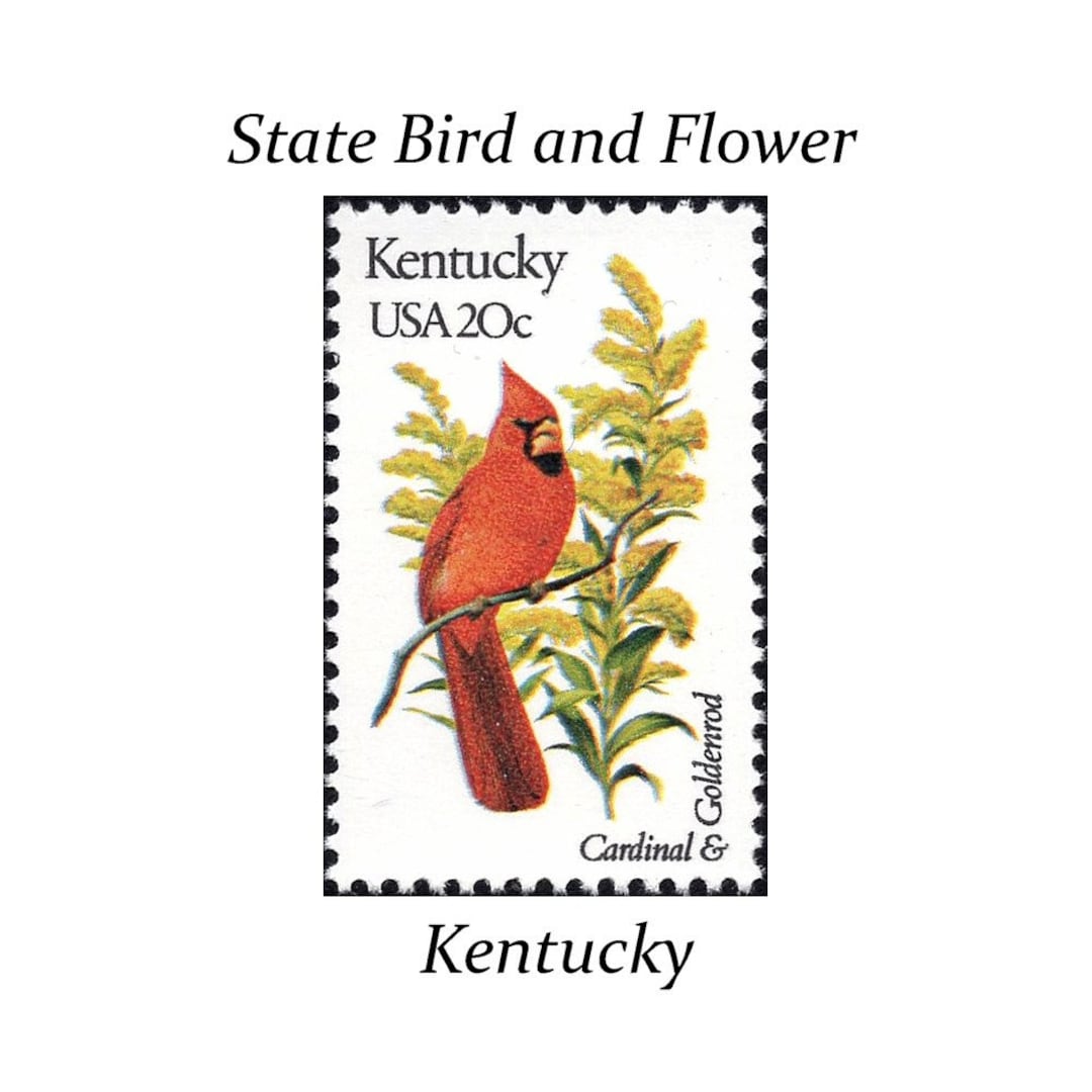 Five 20c KENTUCKY State Bird and Flower Stamps Vintage Unused US ...