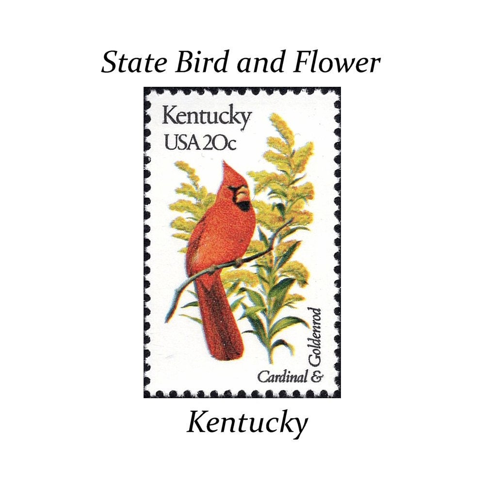 Five 20c KENTUCKY State Bird and Flower stamps Vintage | Etsy