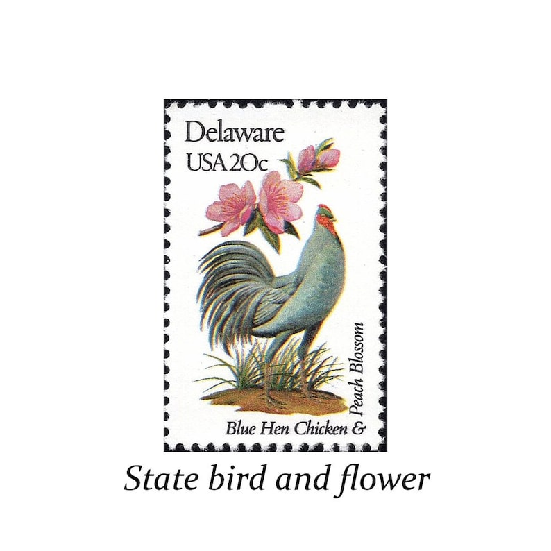 Five 20c DELAWARE State Bird and Flower Stamps Vintage - Etsy