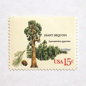 50 American Trees Stamps .. Vintage MINT Postage Stamps .. 4 Different ...