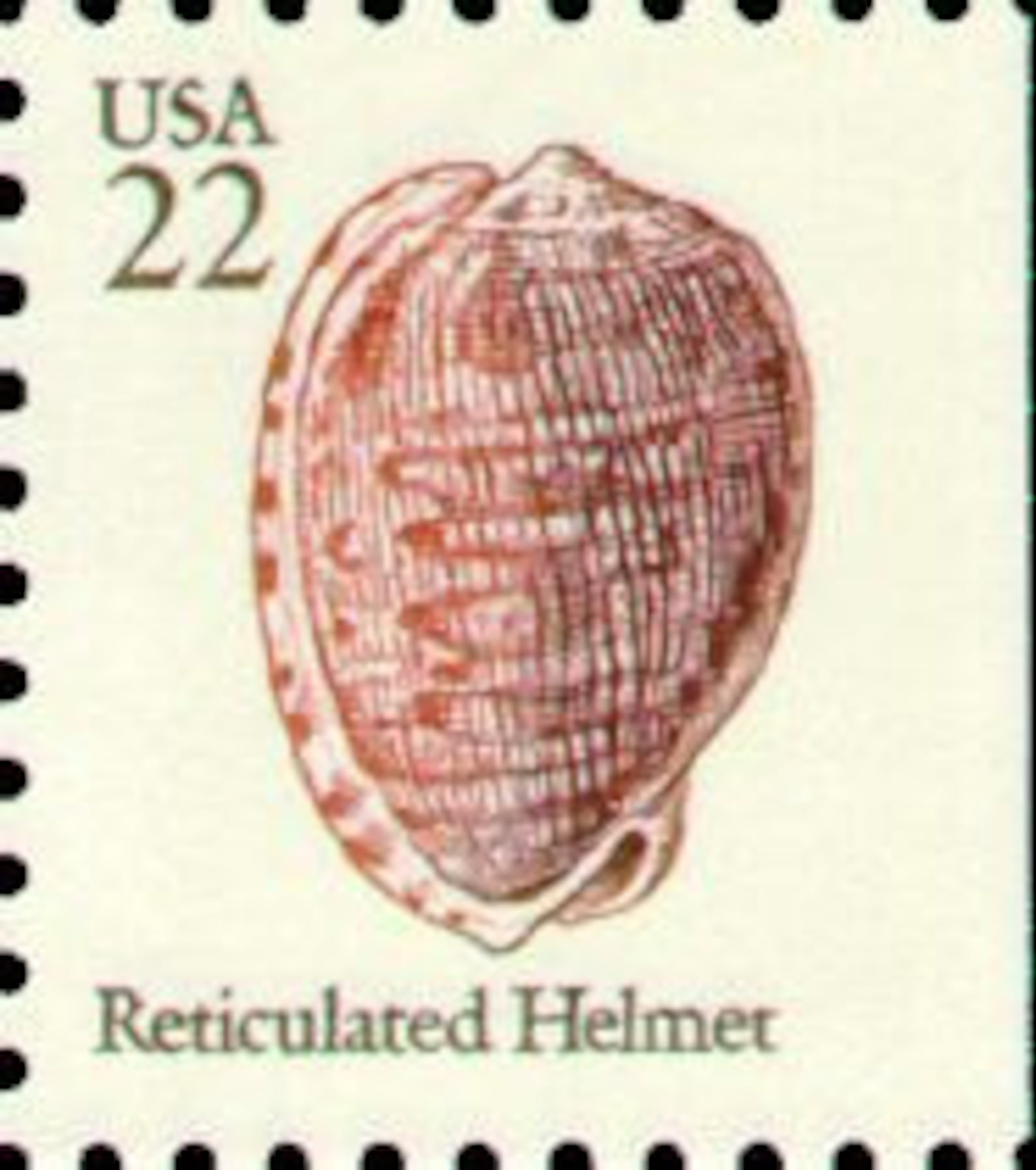 22c Seashell Stamps .. Vintage Unused US Postage Stamps .. Pack of 20 ...