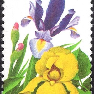 Five 29c Iris Flowers Stamps | Vintage Unused Postage Stamp | Pack of 5 ...
