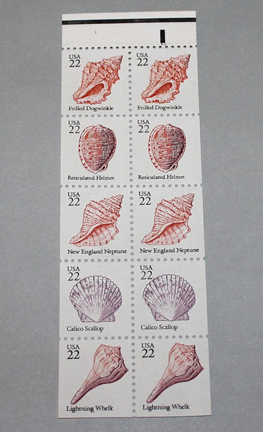 22c Seashell Stamps .. Vintage Unused US Postage Stamps .. Pack of 20 ...