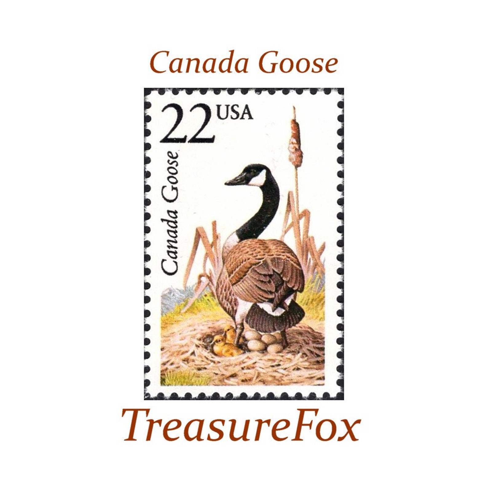 Five 22c Canada Goose Stamp | Unused US Postage Stamps | Pack of 5 ...