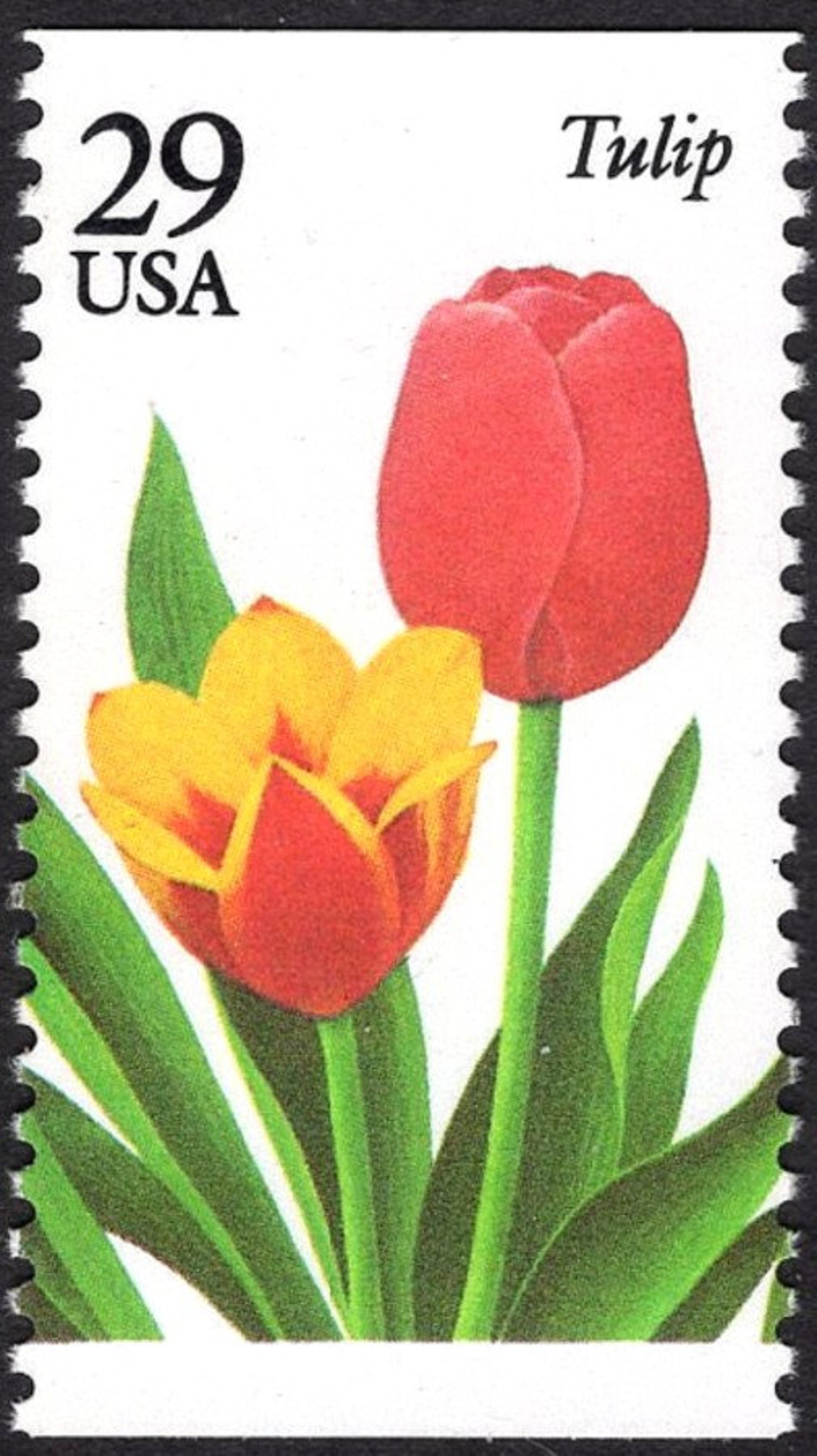 Five 29c Tulip Flower Stamps Vintage Unused Postage Stamp | Etsy