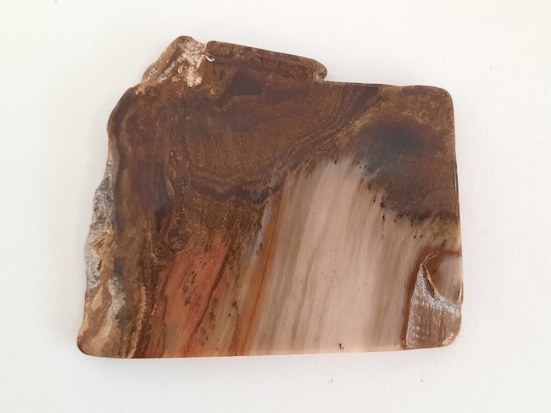 Biggs Jasper Agate Slab, Polished Gemstone Specimen (2 1/4" X 1 3/4 ...
