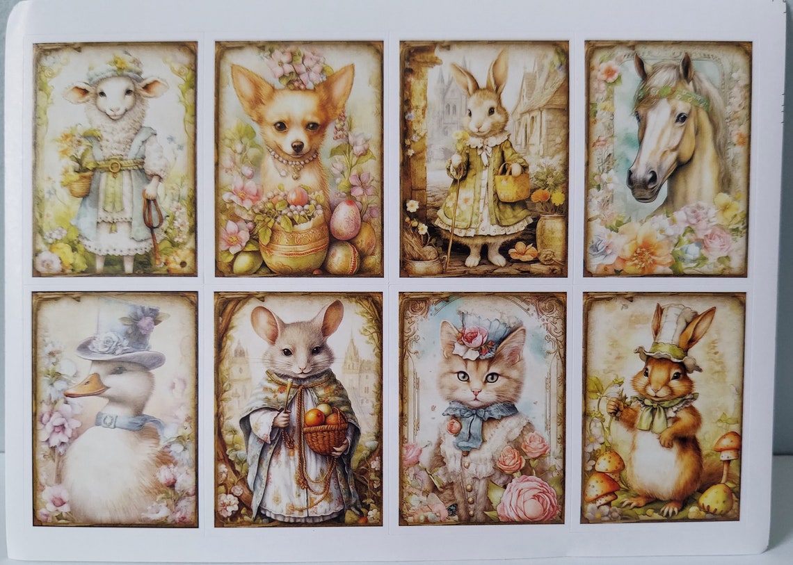 12 Animal Postcards assorted - Etsy