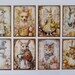 12 Animal Postcards assorted - Etsy