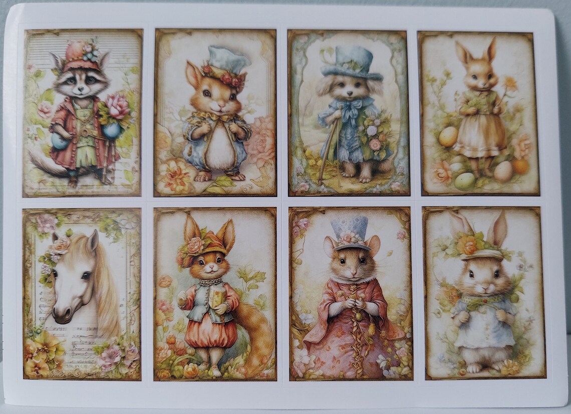 12 Animal Postcards assorted - Etsy