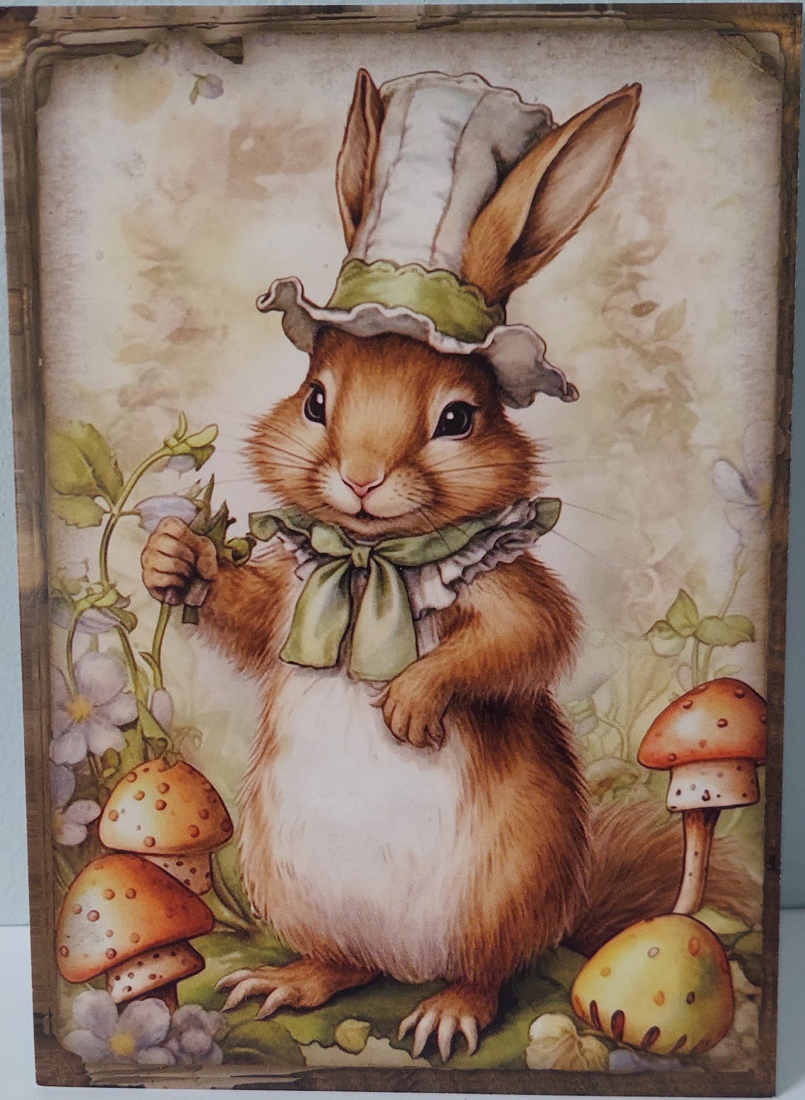 12 Animal Postcards assorted - Etsy
