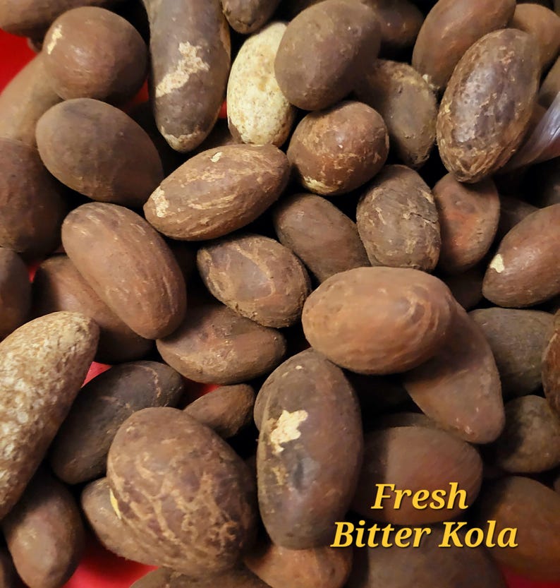 Fresh and Natural Bitter Kola Fresh From West Africa - Etsy