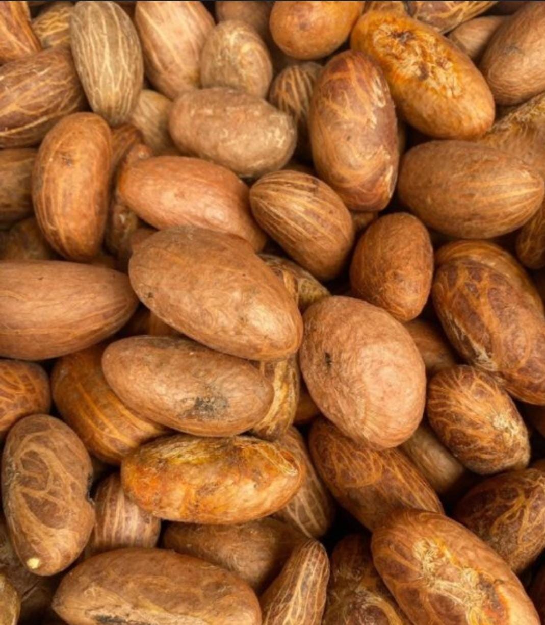 Fresh and Natural Bitter Kola Fresh From West Africa - Etsy