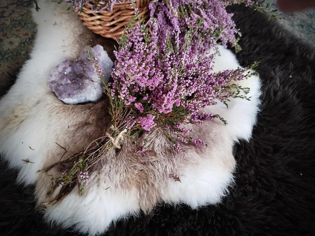 Druid Sacred Flowers Heather, Magic Flower, Dried Forest Heather ...