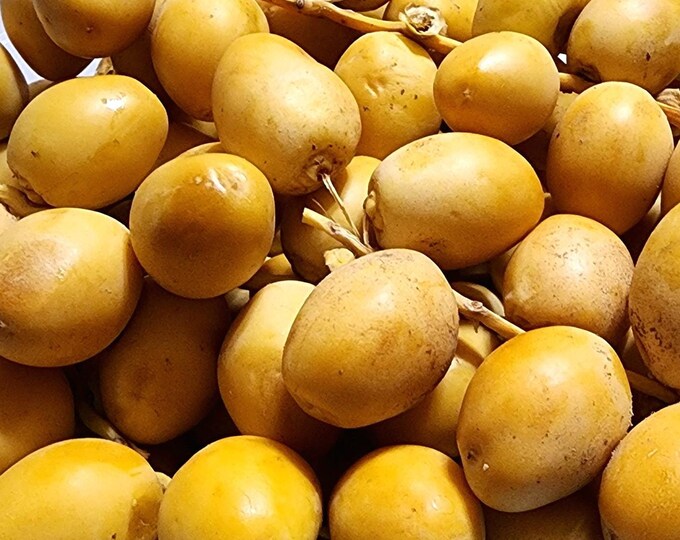 2.5 Lbs 2024 Harvest Fresh Bahri Dates - New Harvest 2024 Bahri Yellow ...