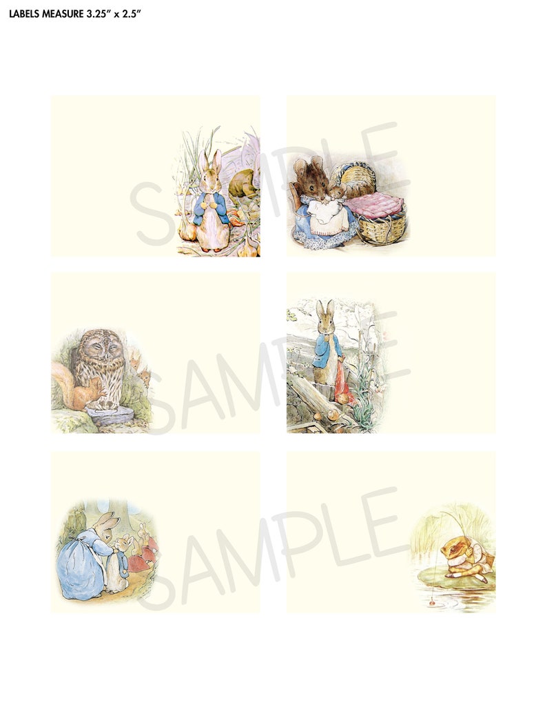 INSTANT DOWNLOAD Peter Rabbit Food Labels Blank Baby Shower | Etsy