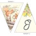INSTANT DOWNLOAD - Peter Rabbit Banner - Peter Rabbit Baby Shower ...