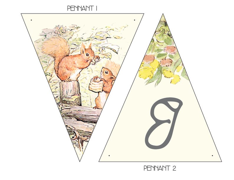 INSTANT DOWNLOAD - Peter Rabbit Banner - Peter Rabbit Baby Shower ...