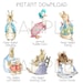 INSTANT DOWNLOAD MEDIUM Peter Rabbit Cut Out Stands 12 Characters Baby ...