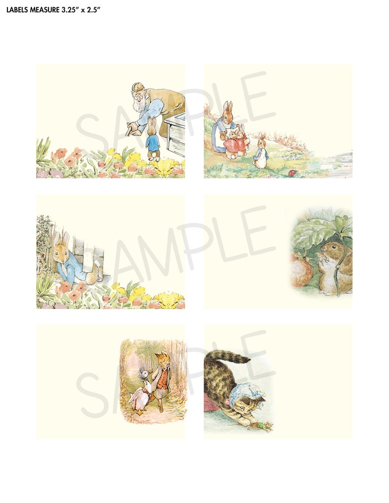 INSTANT DOWNLOAD Peter Rabbit Food Labels Blank Baby Shower | Etsy