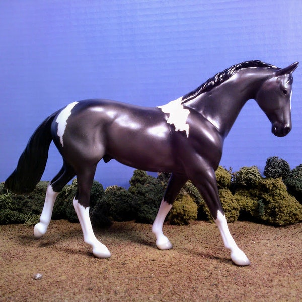 Pinto Stallion - Etsy