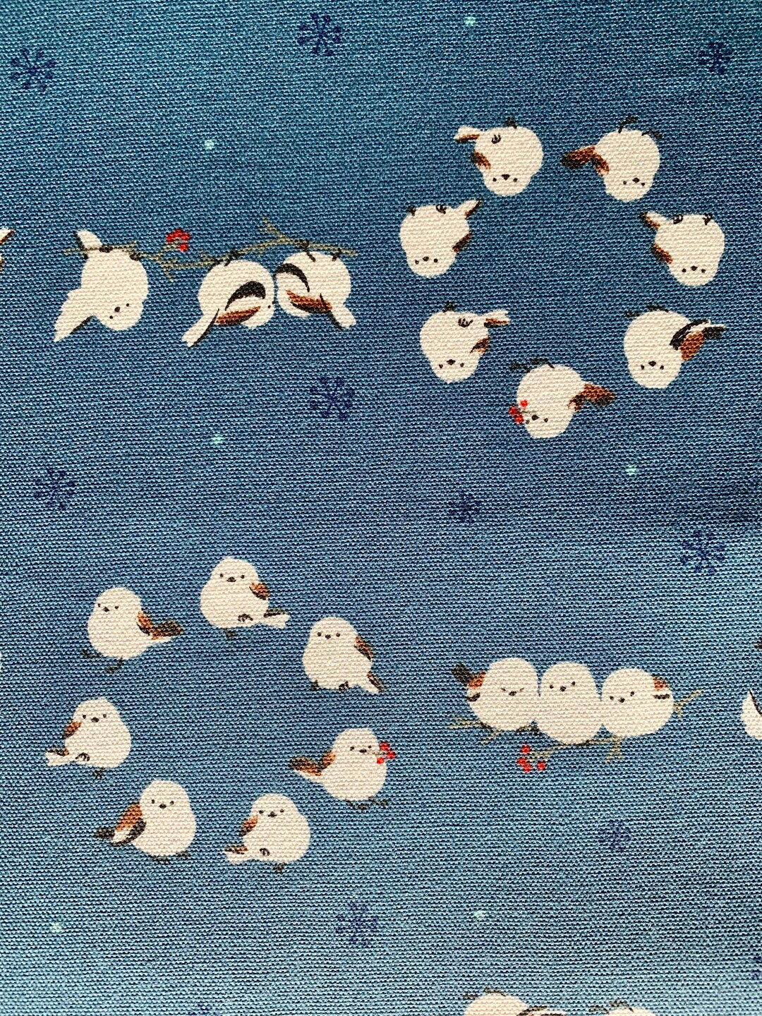 Chickadee Wreath Cosmo Japanese Cotton Fabric AP21810-2D Sky Blue - Etsy