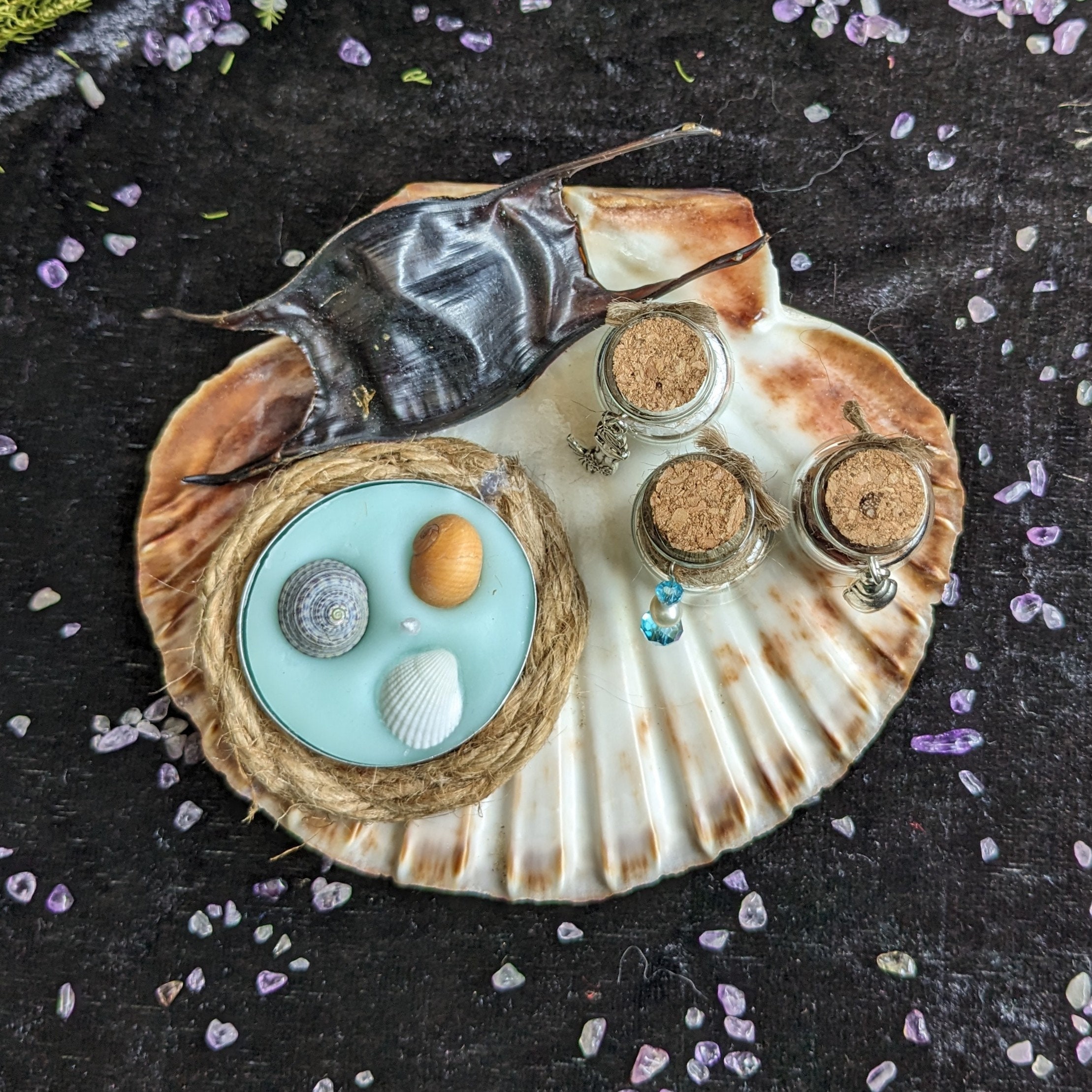 Mini Sea Altar wicca Sea Witch Travel Alter Seashells Sand Irish Sea ...