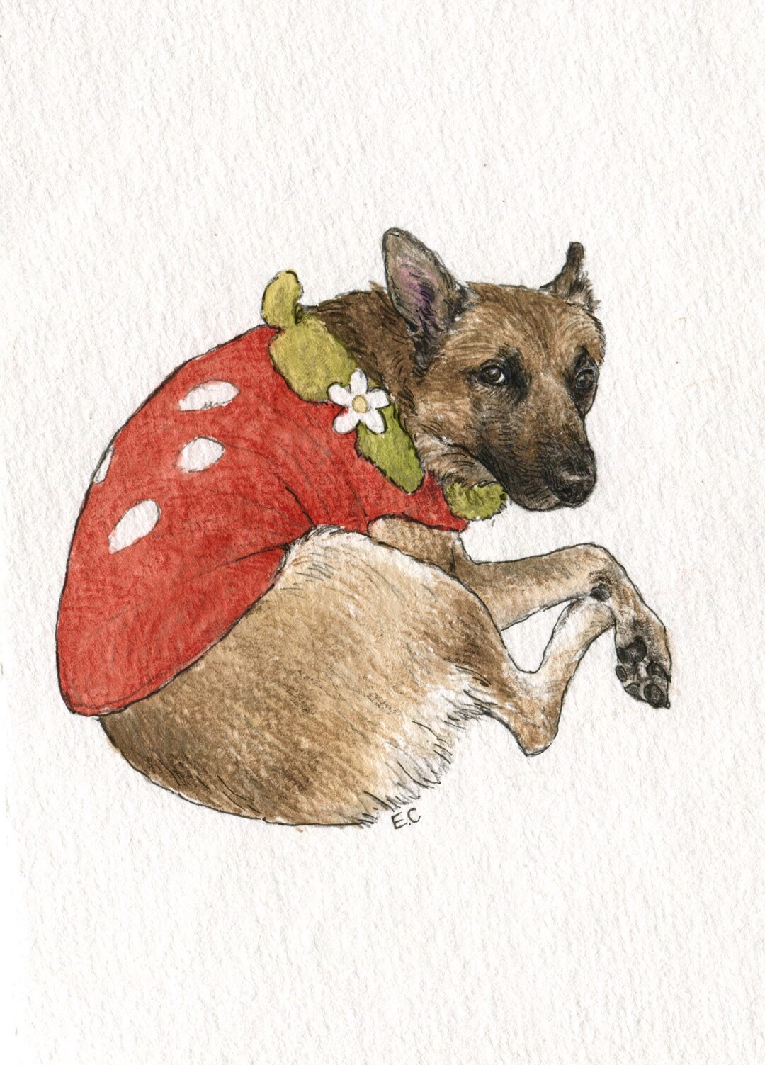 Custom Dog Drawings, 10x15cm With Frame, Art, Dog Gift Ideas Birthday ...