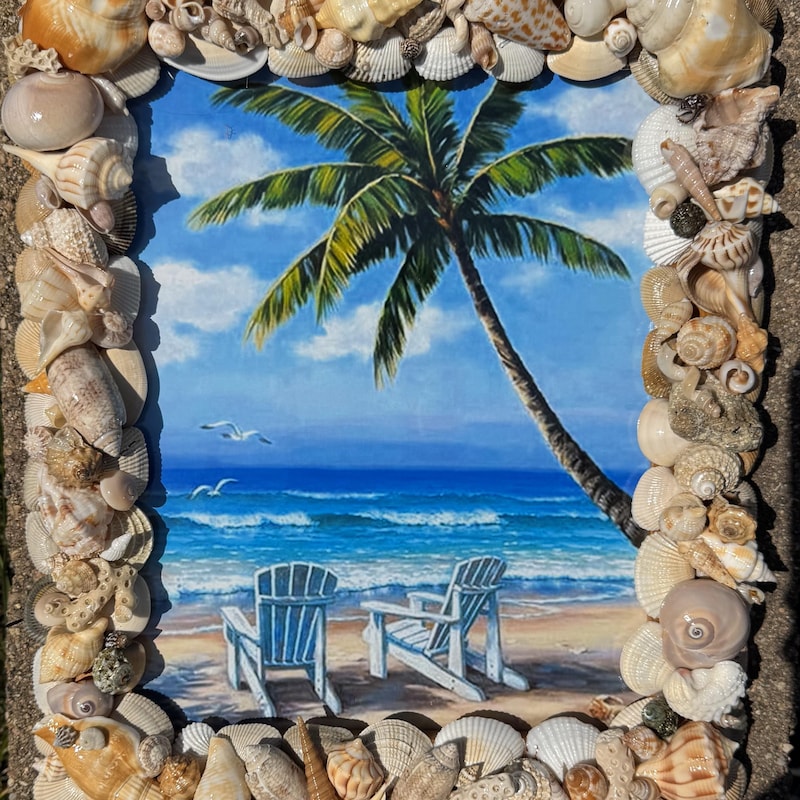 Framed Shell Art - Etsy