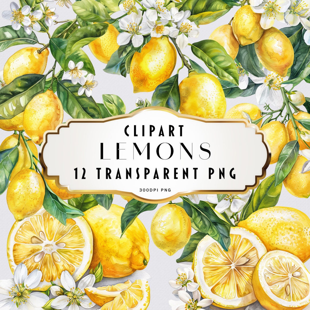 Watercolor Lemon Blossom Clipart, Summer Clip Art, Floral Clipart Set ...