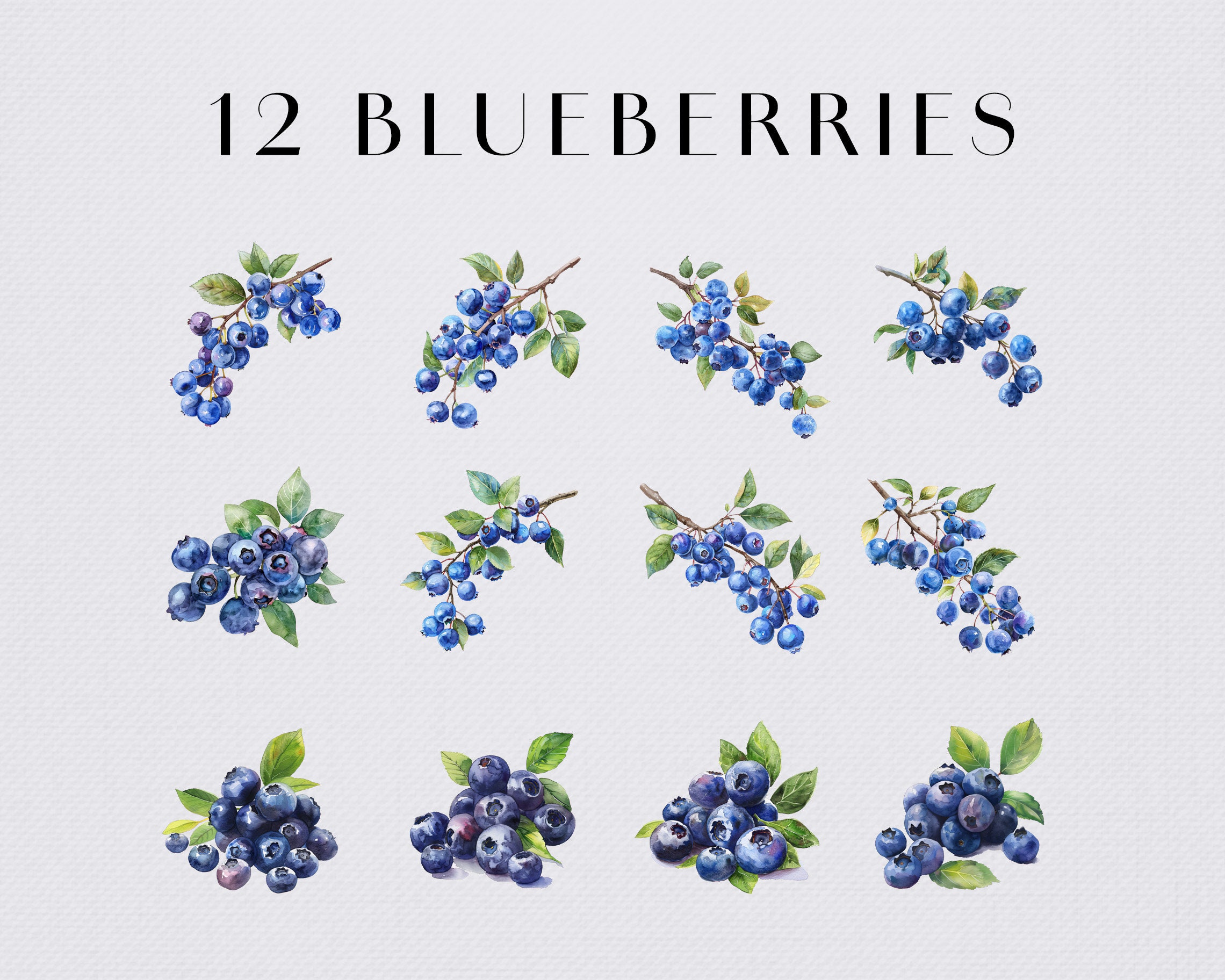 Watercolor Blueberries Clipart, Summer Clip Art, Floral Clipart Set ...