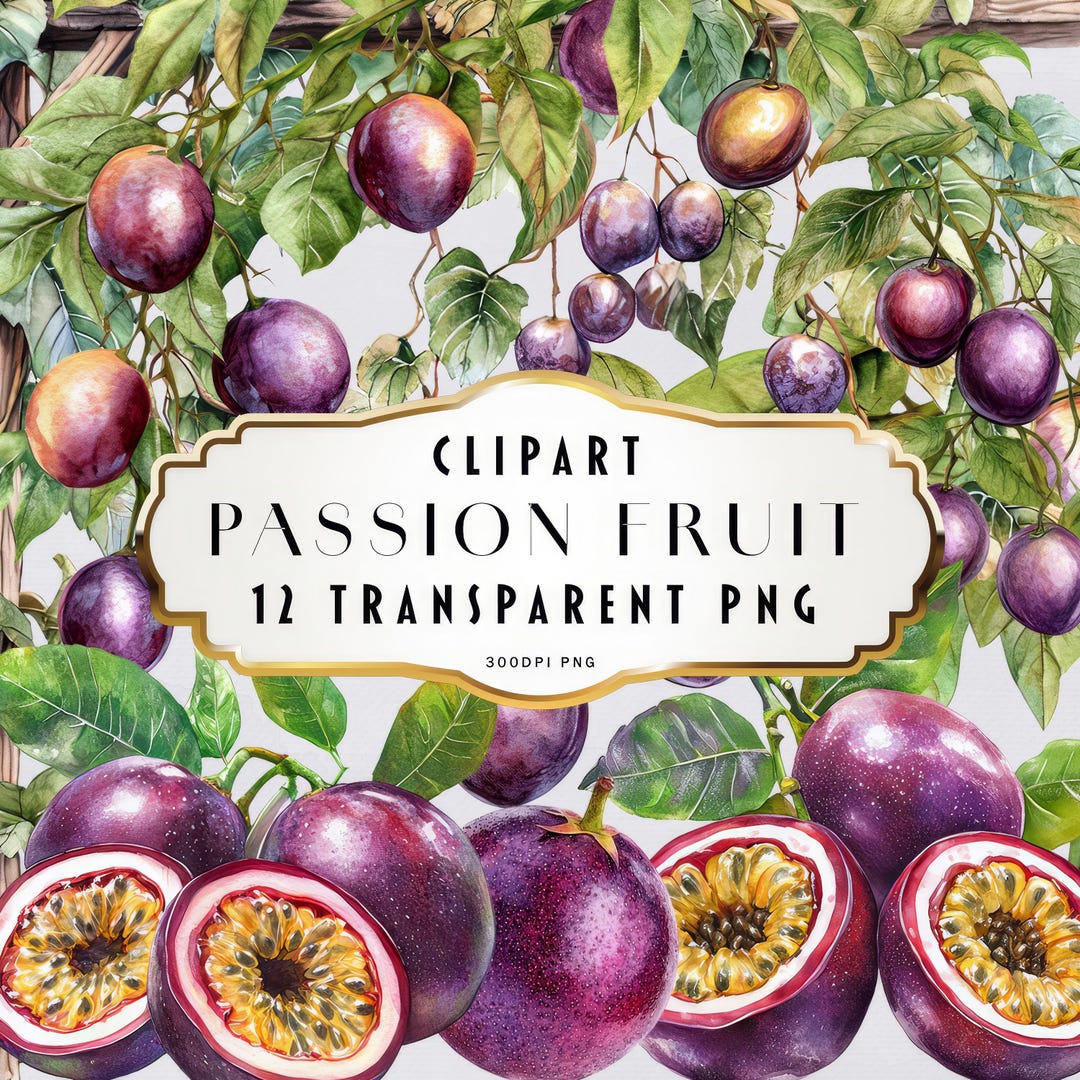 Watercolor Passion Fruit Clipart Tropical Fruit Clip Art Passionfruit ...