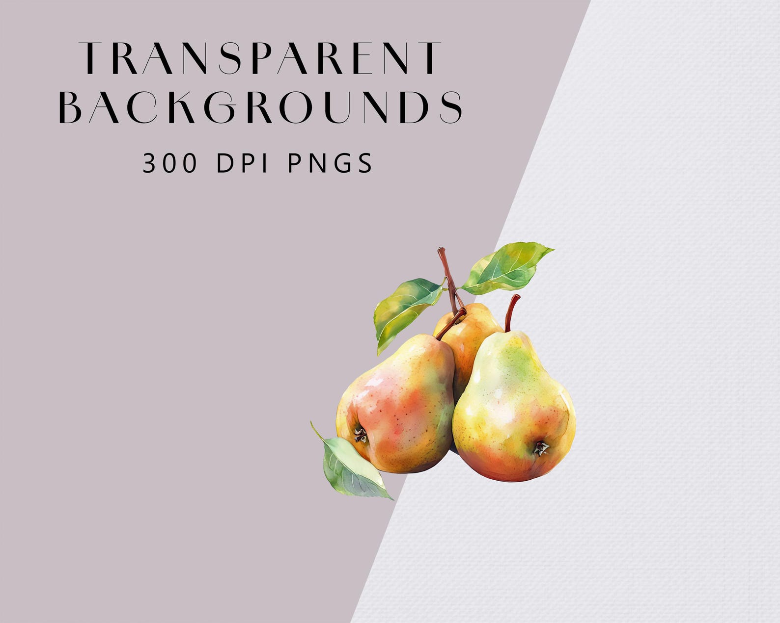 Watercolor Pear Clipart Pears Clip Art Summer Clip Art Pear Fruit ...