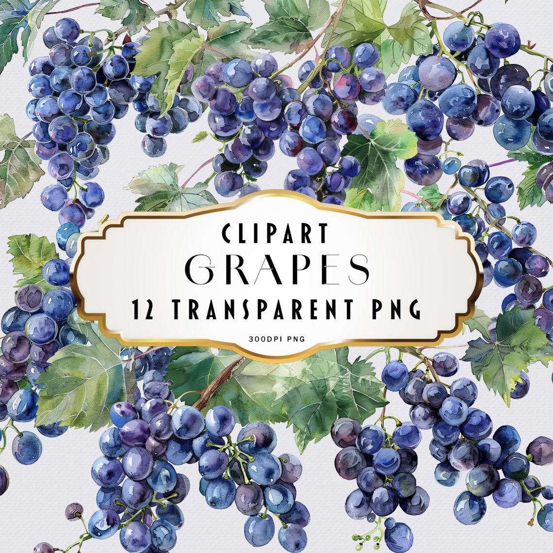 Watercolor Grapes Clipart, Spring Clip Art, Floral Clipart Set, Grape ...