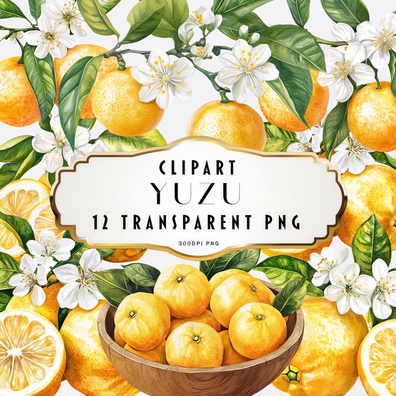 Watercolor Yuzu Clipart Summer Fruit Clip Art Floral Clipart Set Citrus ...