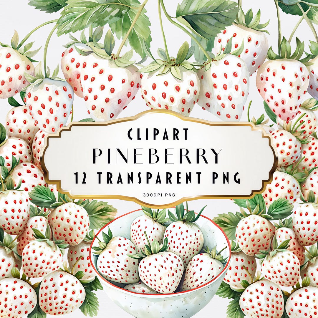 Watercolor Pineberry Clipart Pineberries Fruit Clipart White Strawberry ...